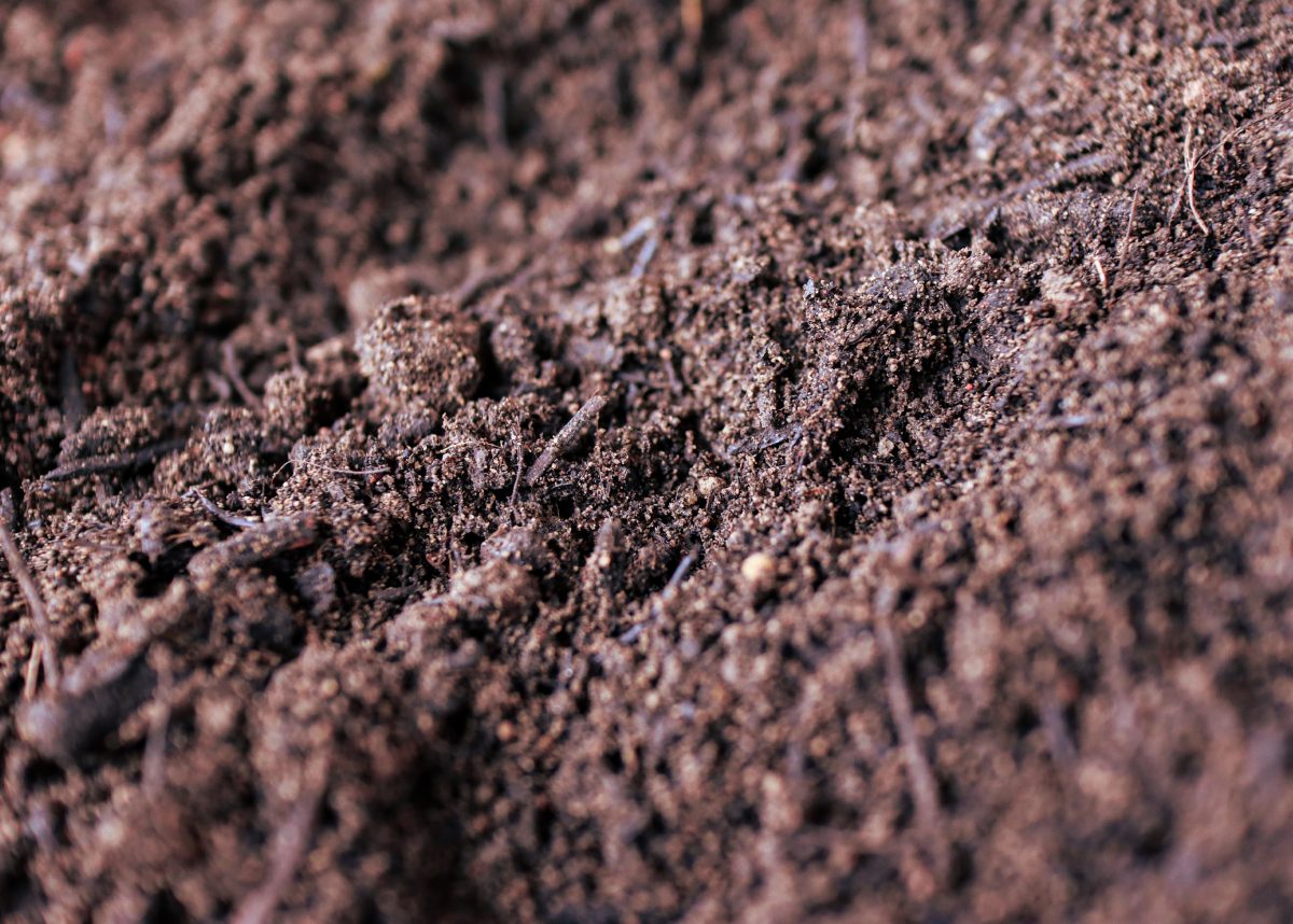 Themarflor | Für Blühende Gärten - Unsere Leistungen